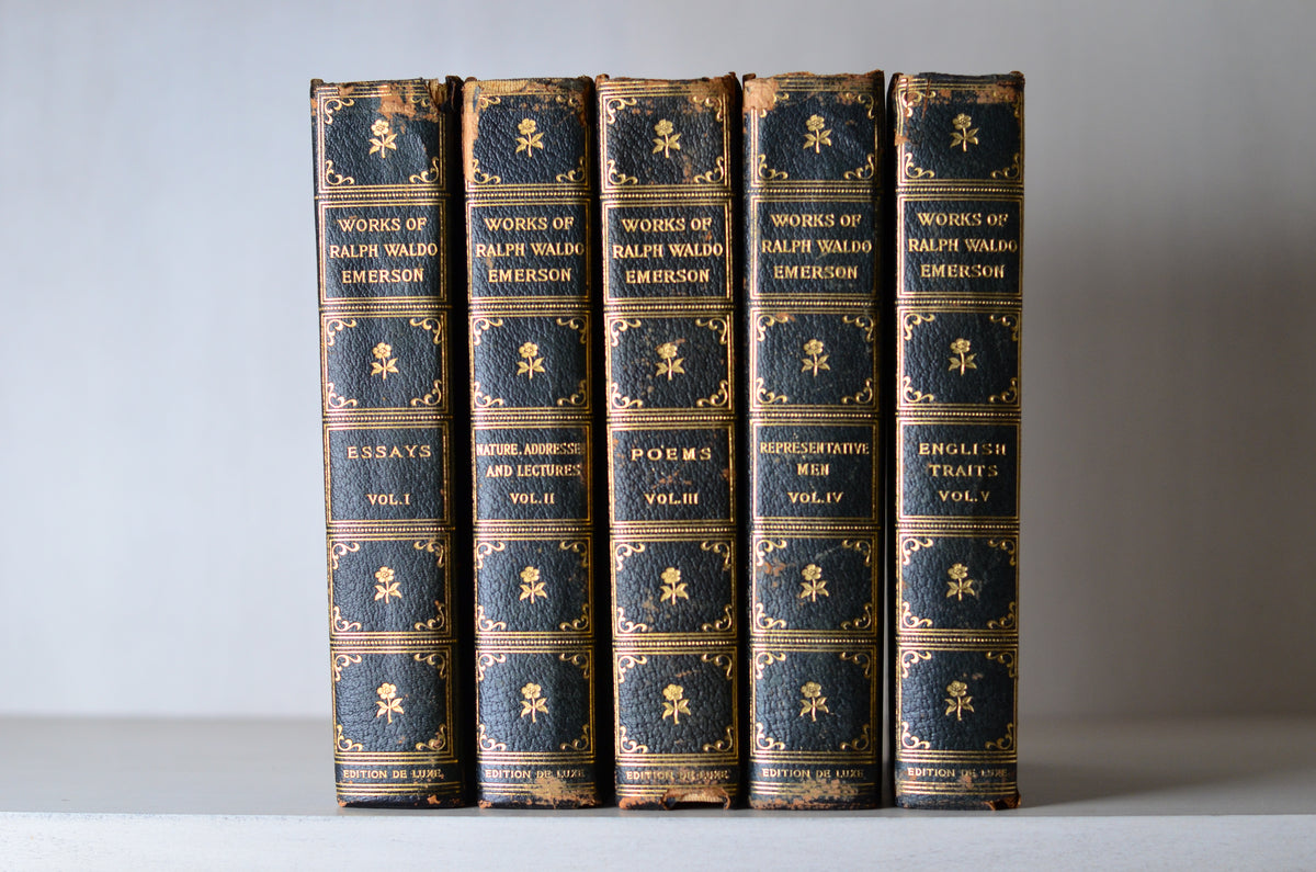 Blue Antique Leather Book Set for Decor | Brookfield Books | Brookfield ...